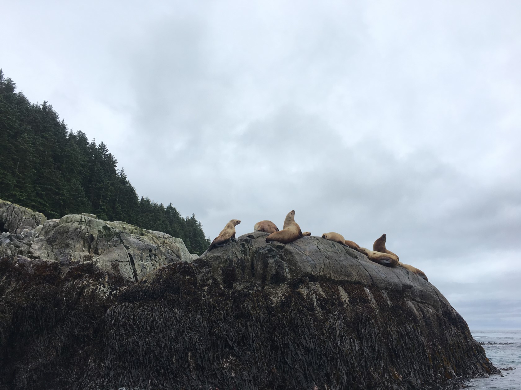 A Traveler's Guide to the Inian Islands, Alaska | Current by Seabourn