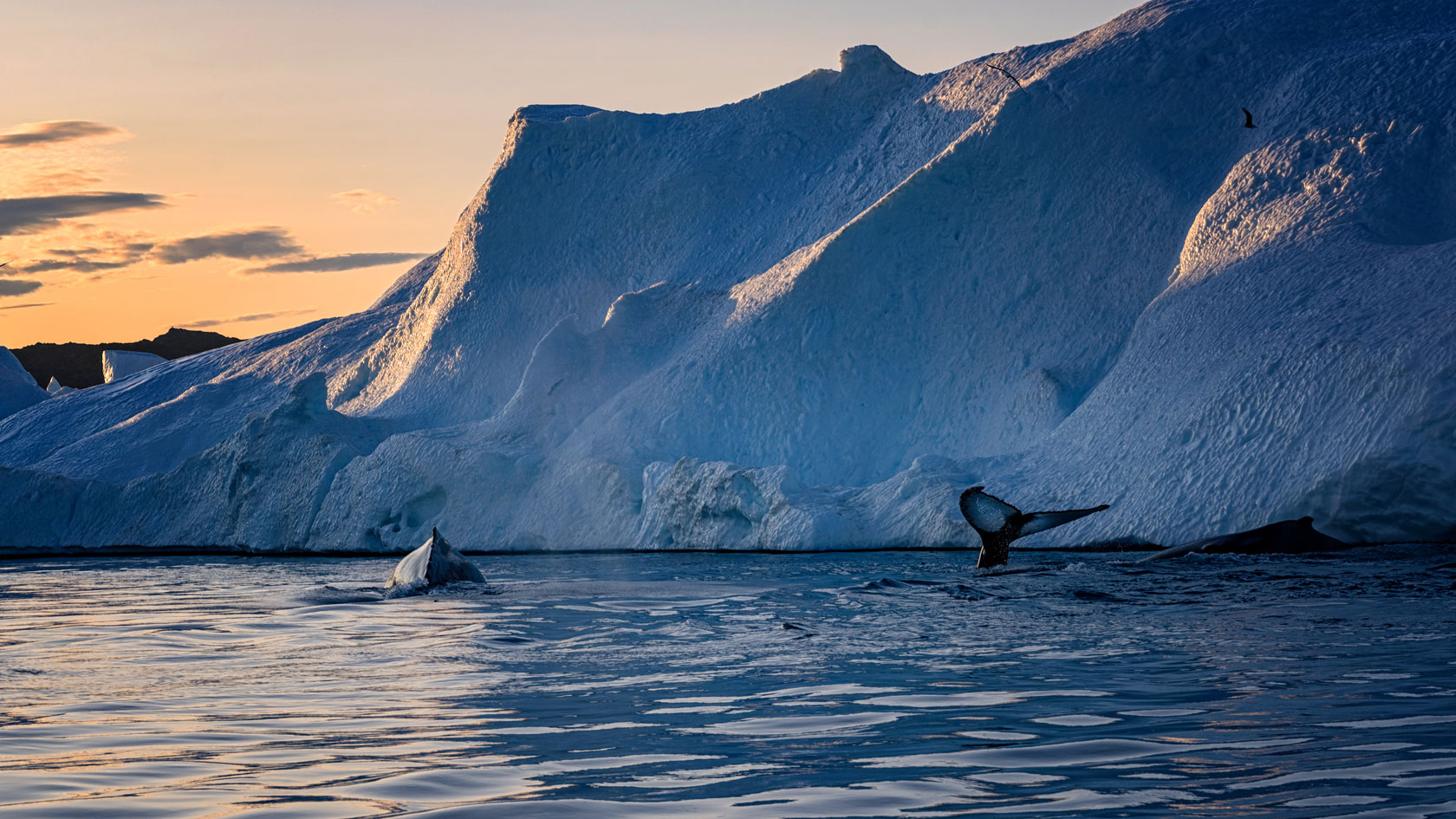 Current - A travel blog by Seabourn