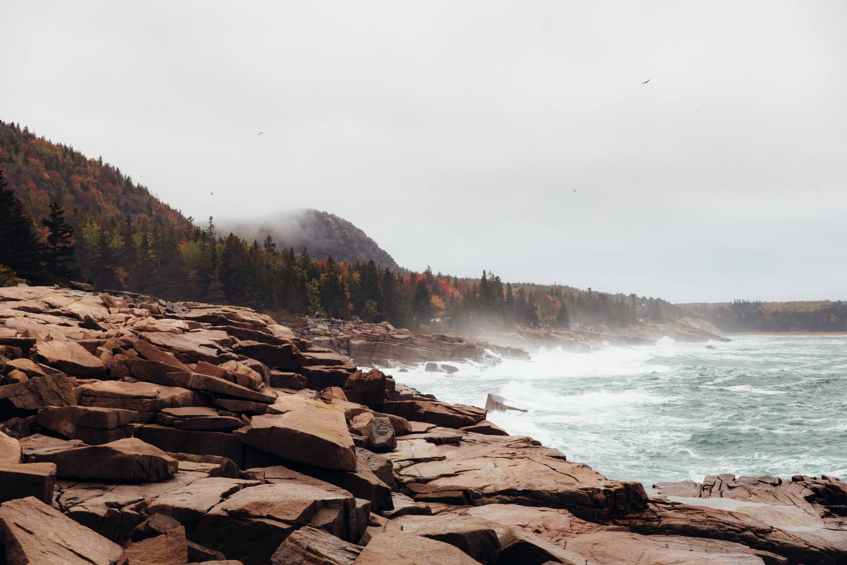 Acadia National Park | Island Explorer Shuttle Bus Tour | Current by ...