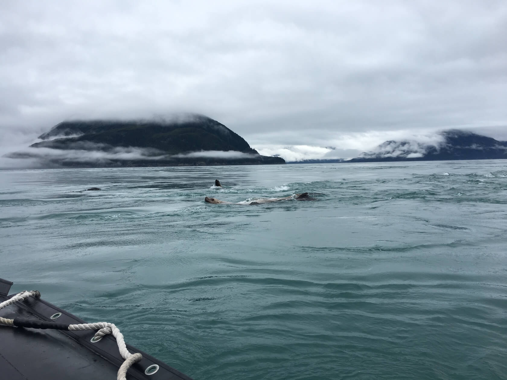 A Traveler's Guide to the Inian Islands, Alaska | Current by Seabourn